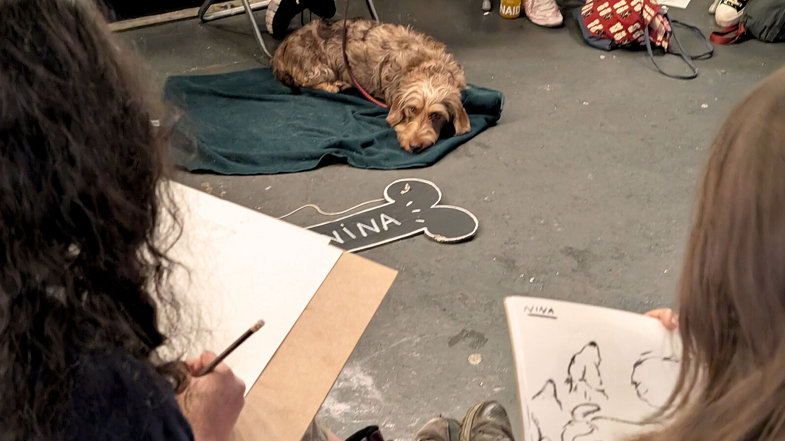 Life Drawing with Dogs tickets — £5.50 | KIT FORM, Bristol
