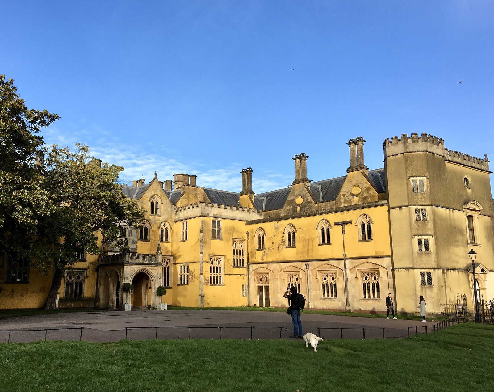Summer Dereliction tours 2023 tickets — £5.45 | Ashton Court, Bristol